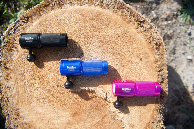 Video and Photo Lights – Bigblue Dive Lights